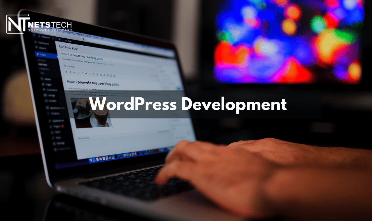 No.1 WordPress Development Services in Pakistan | Netstech