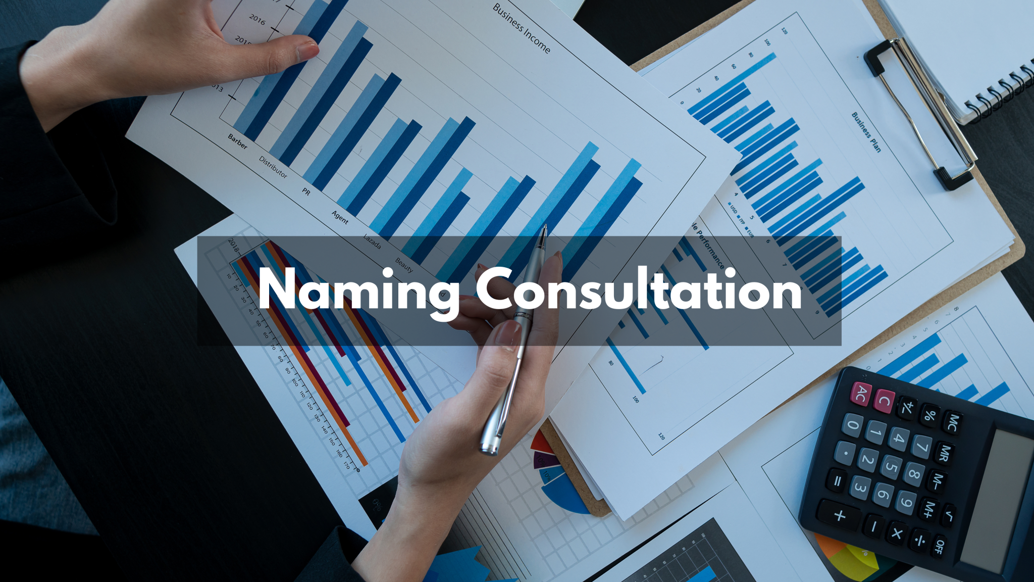 Naming Consultation - Netstech